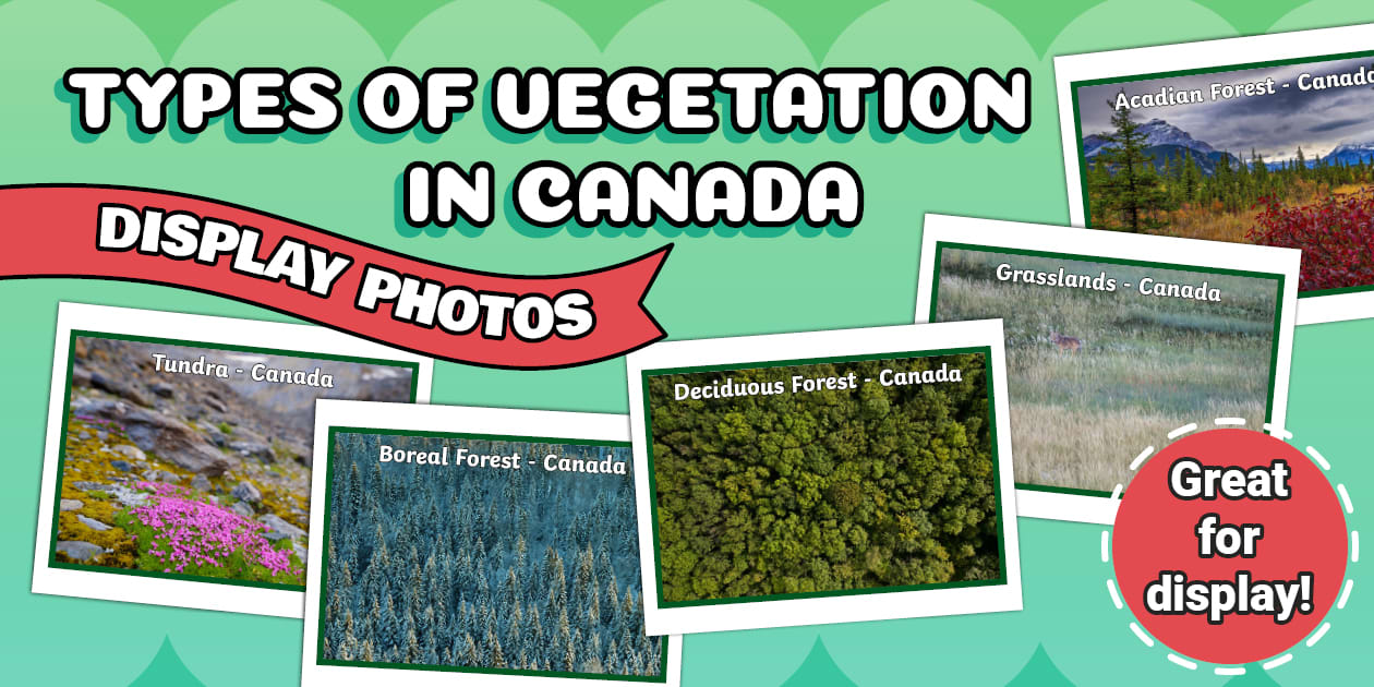 Types of Vegetation in Canada Display Photos