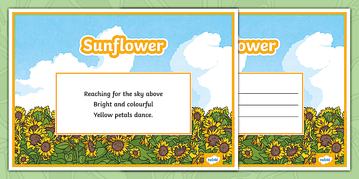 Sunflower Haiku Poetry Template (teacher made) - Twinkl