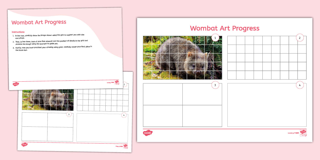 How To Draw A Wombat Activity Sheet | Twinkl Resources