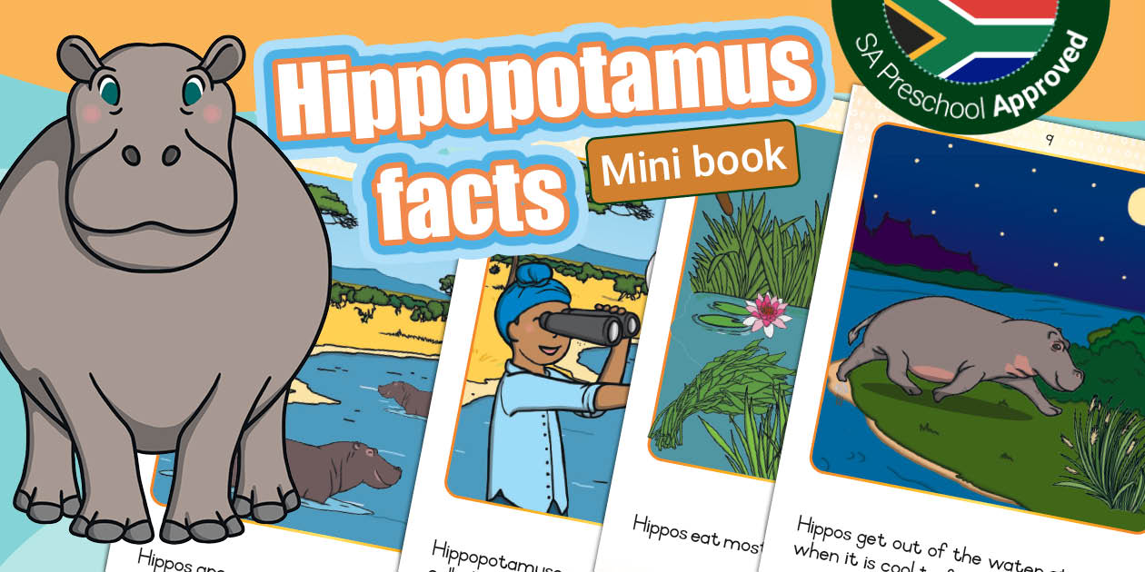 Preschool - African Animals - Mini Book - Hippopotamus Facts