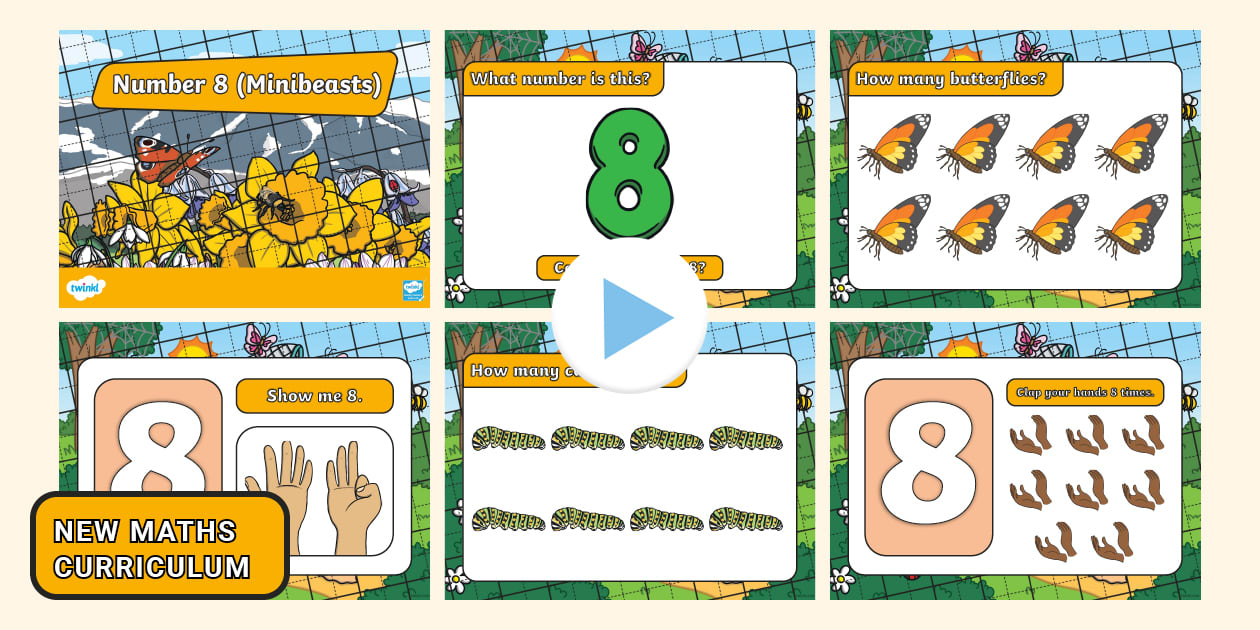 Number Eight Minibeasts PowerPoint | Twinkl Ireland - Twinkl