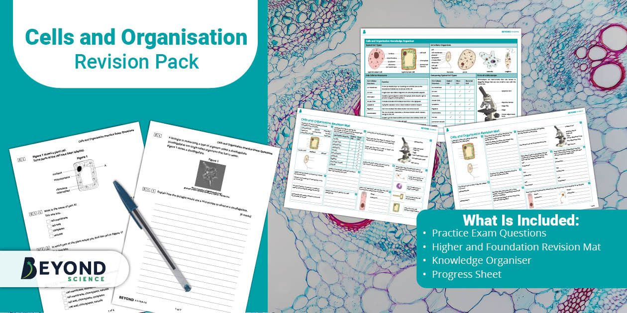 KS3 Cells and Organisation Revision Pack | Science | Beyond