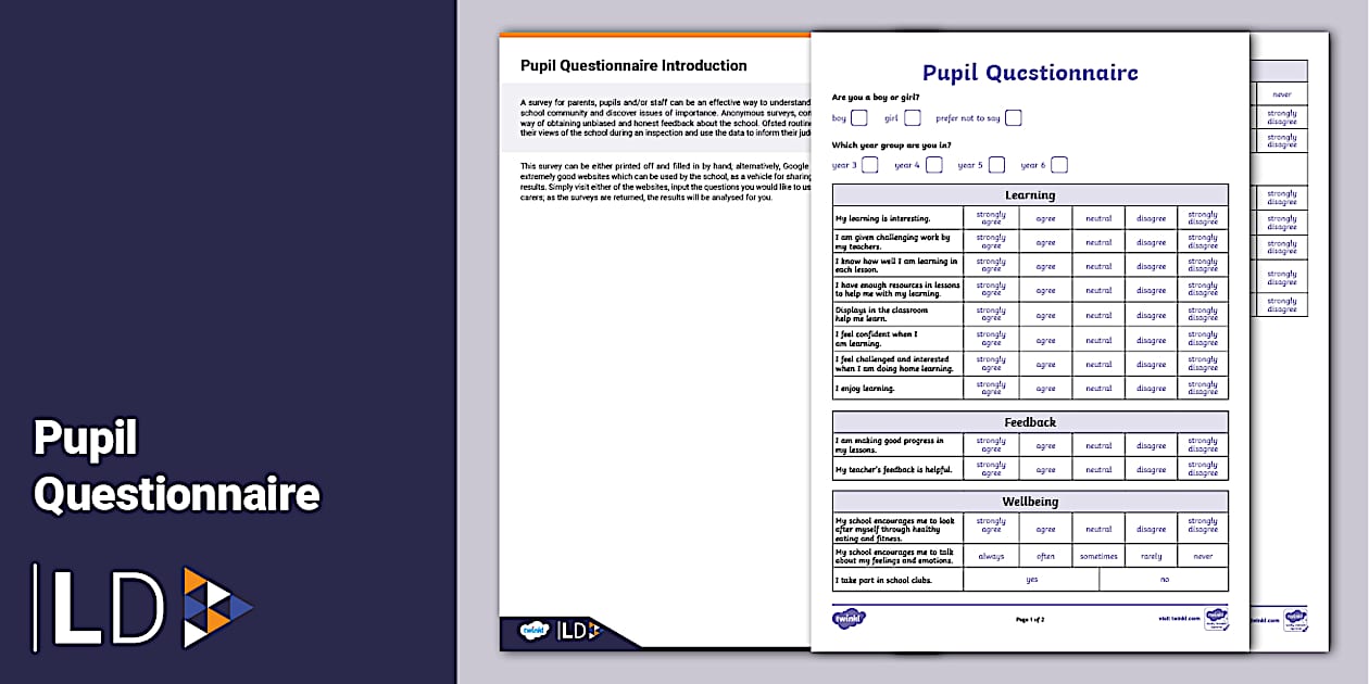 Key Stage 2 Pupil Survey (teacher made) - Twinkl