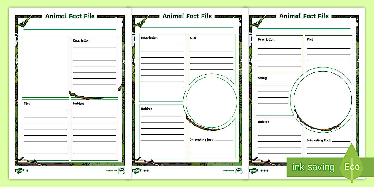 Editable Differentiated Rainforest Animal Fact File Worksheets