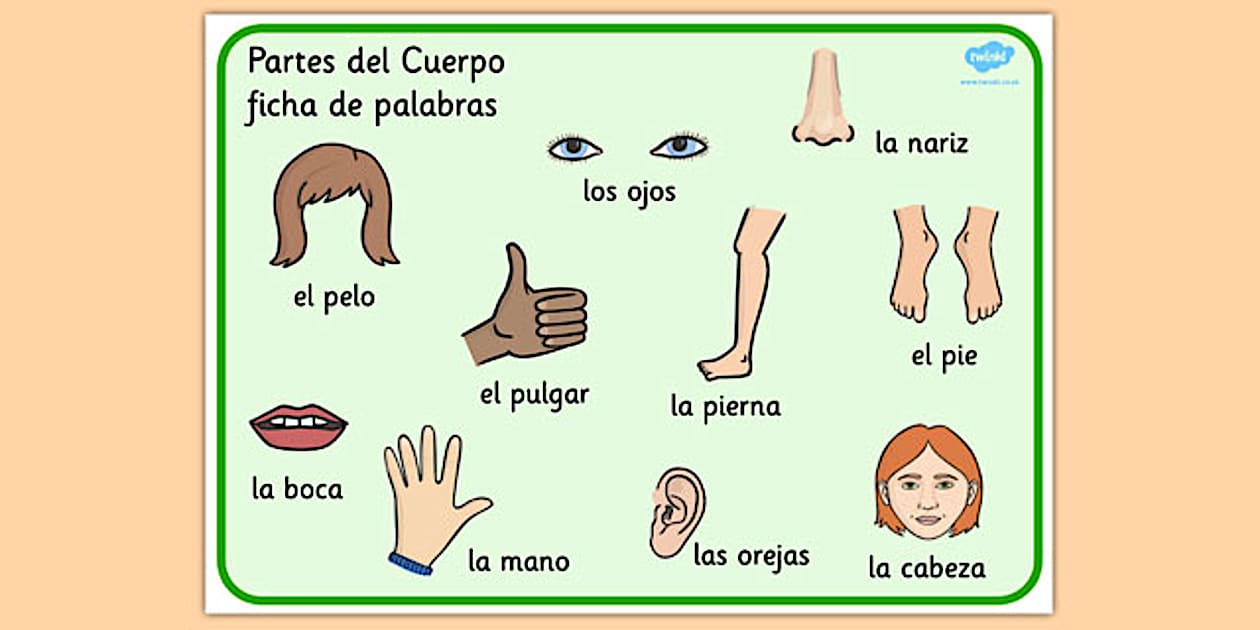 Spanish Parts of the Body Word Mat (teacher made) - Twinkl