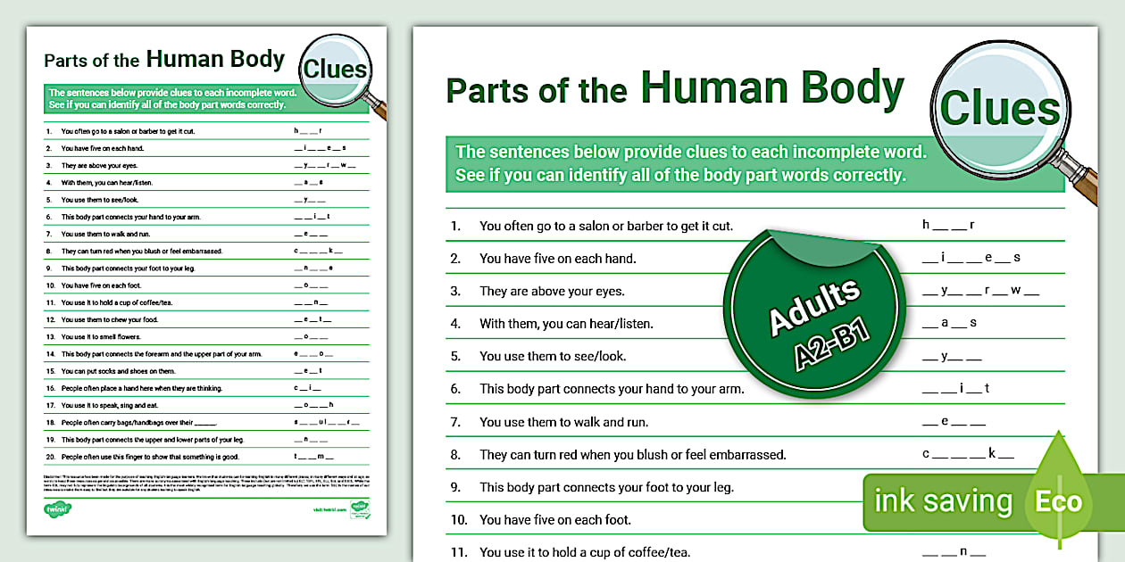 ESL Parts of the Human Body Clues Activity [Adults, A2-B1]