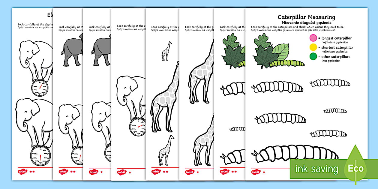 Color by Size Worksheet / Worksheets English/Polish - Twinkl