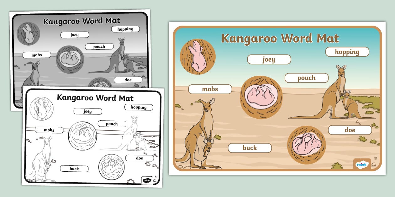 Kangaroo Life Cycle Word Mat - Primary Resource