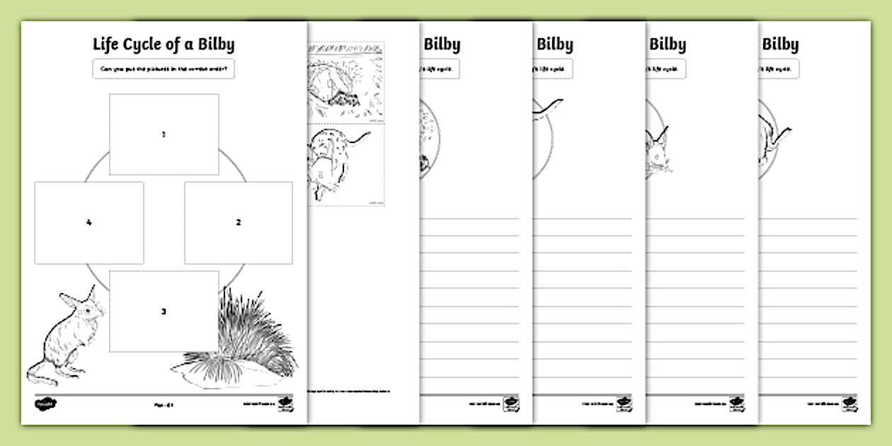 Life Cycle of a Bilby Activity Sheets (Teacher-Made)