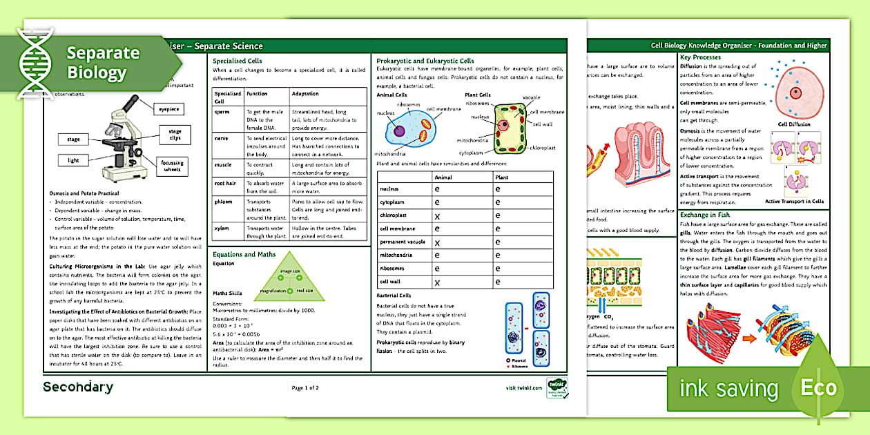 Cell Biology Knowledge Organiser | AQA Biology | Beyond