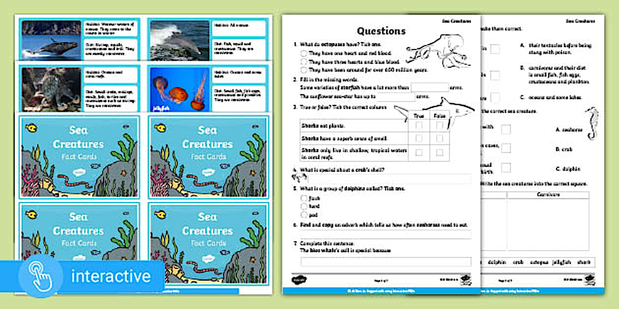Interactive PDF: KS1 Underwater Animals Fact Cards and Comprehension ...