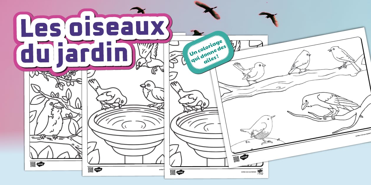 * NEW * Coloriages : Les oiseaux du jardin
