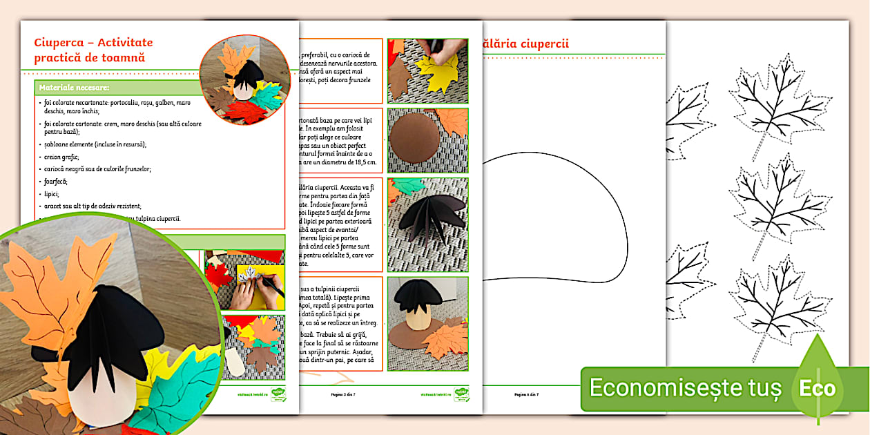 AVAP: Ciuperca – Activitate practică de toamnă - Twinkl