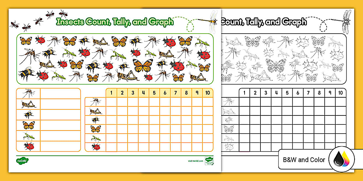 First Grade Insects Count, Tally, and Graph Worksheet