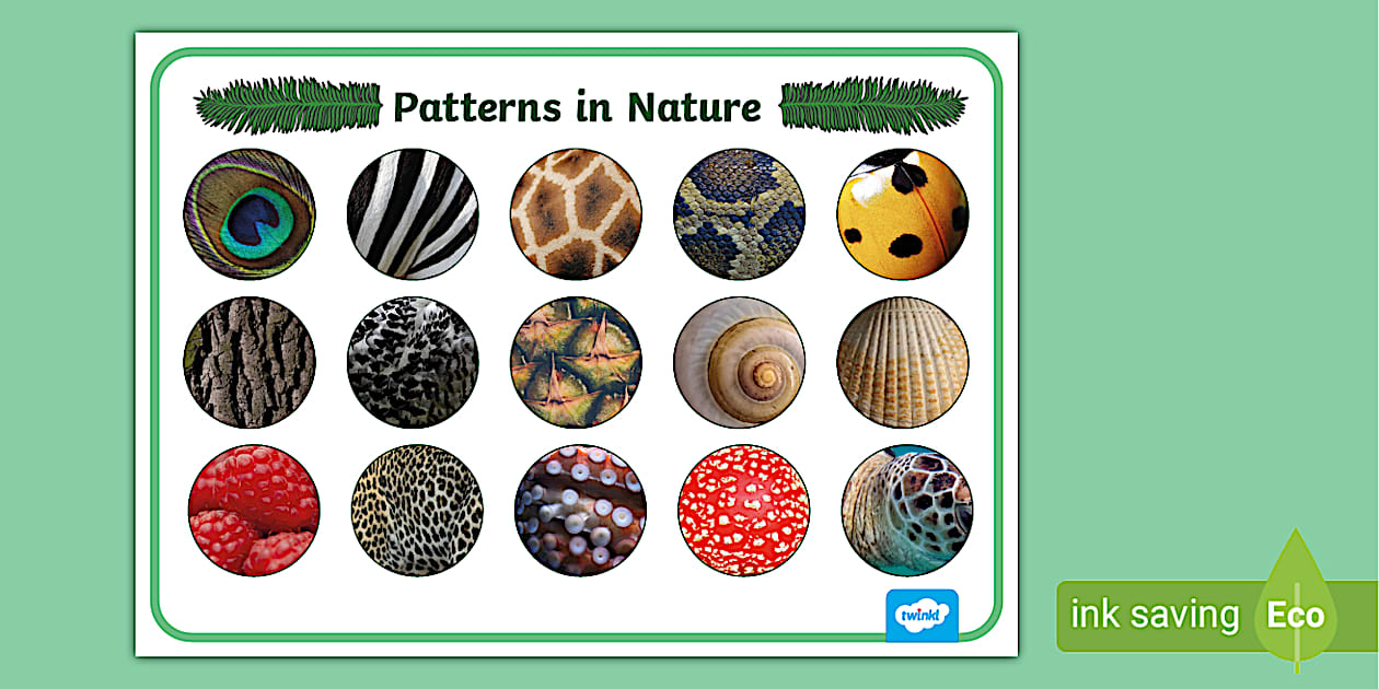 Editable Patterns in Nature Display Poster (Lehrer gemacht)