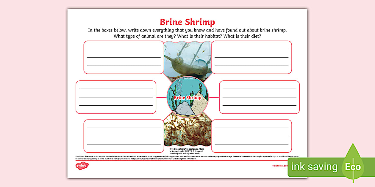 Brine Shrimp Mind Map (teacher made) - Twinkl