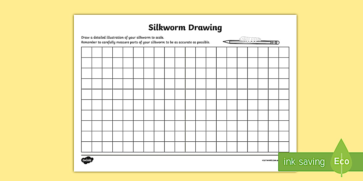 Silkworm Drawing Worksheet (öğretmen yaptı) - Twinkl