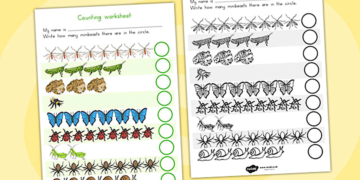 Minibeasts Counting Worksheet (teacher made) - Twinkl