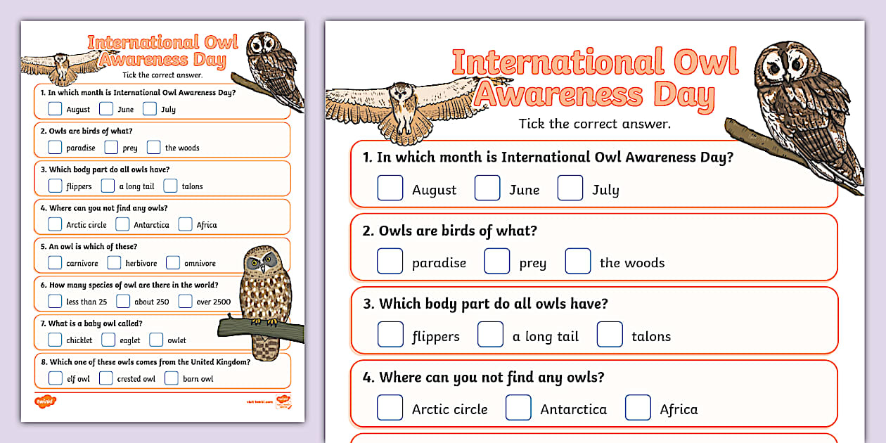 KS1 International Owl Awareness Day Quiz (Teacher-Made)