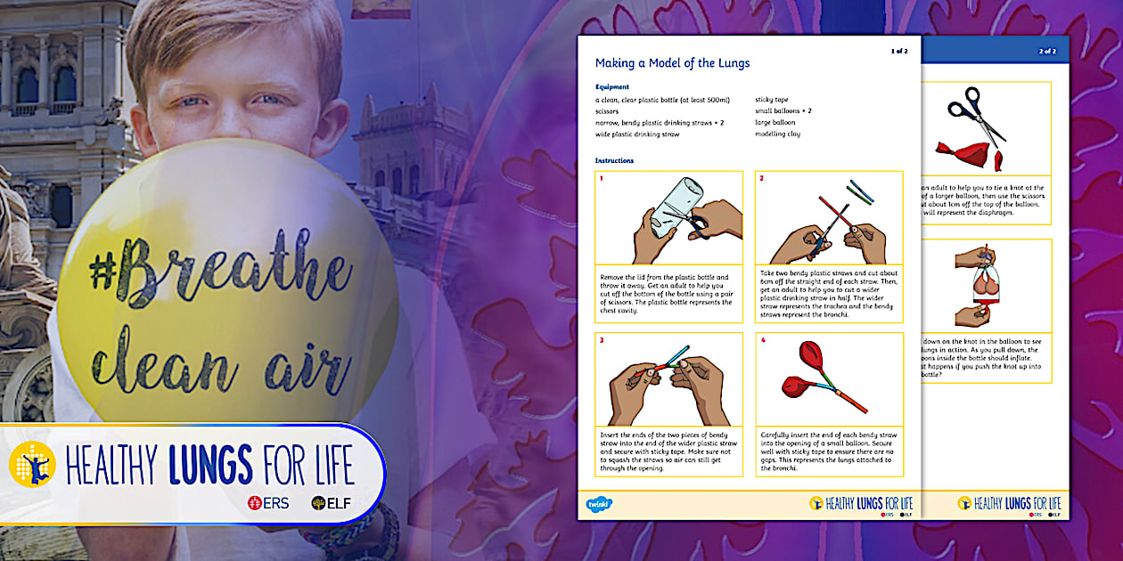 KS2 Making a Model of the Lungs Instruction Sheet | Twinkl