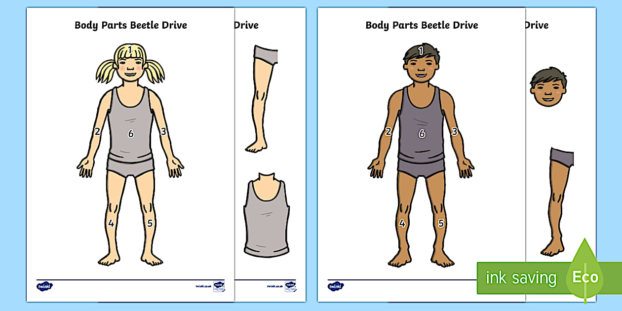 Parts of The Body | Beetle Drive Rules | Twinkl | EYFS