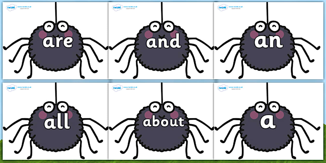 100 High Frequency Words on Spiders (teacher made) - Twinkl