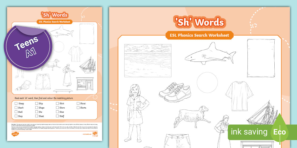 ESL 'Sh' Words Phonics Search Worksheet (teacher made)