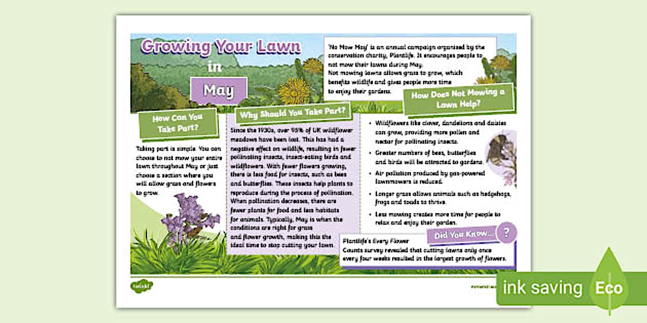 Growing Your Lawn in May KS2 Fact File (Teacher-Made)