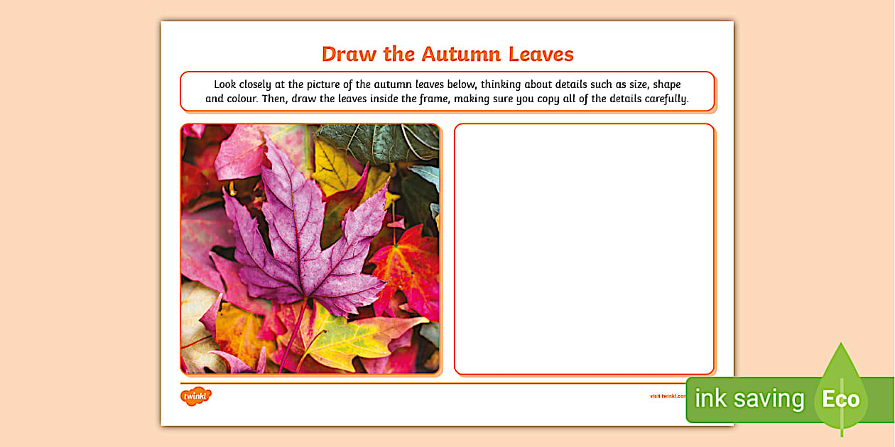 Draw the Autumn Leaves Art Activity, Drawing Leaves - Twinkl