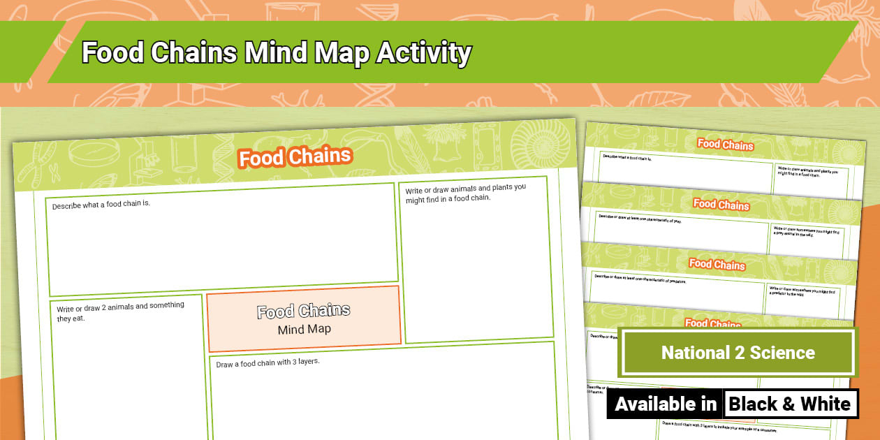 Food Chains Mind Map Activity