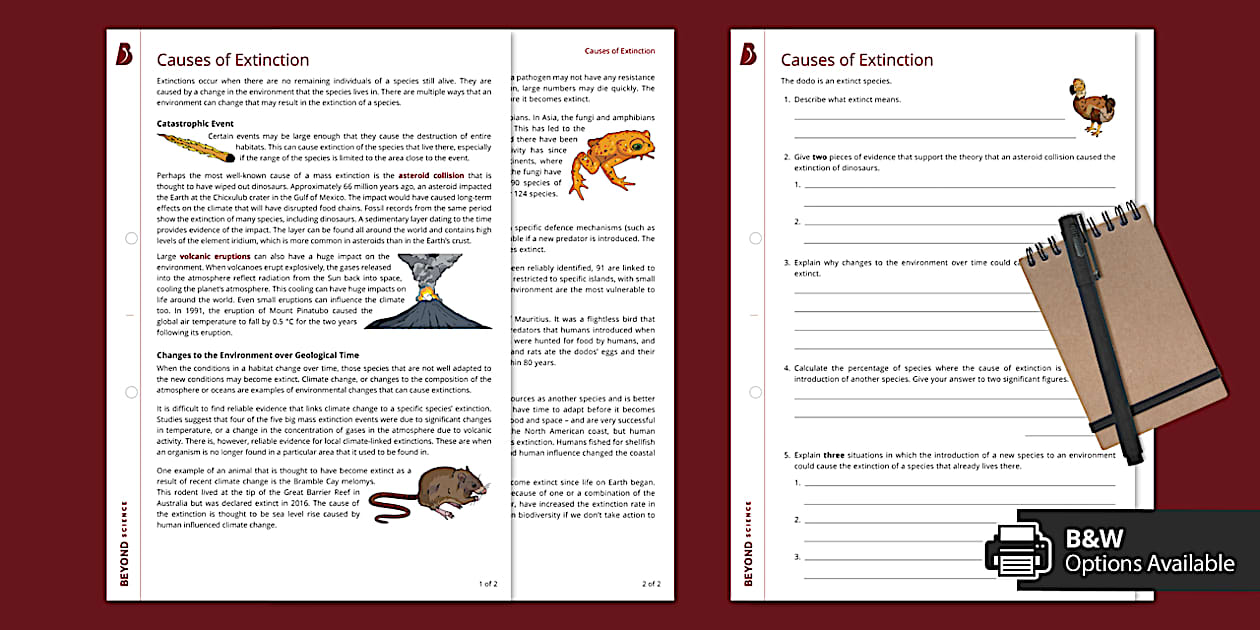 Causes of Extinction Reading Comprehension - Twinkl