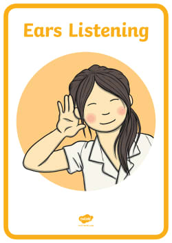 Give Me Five Display Posters (teacher made)