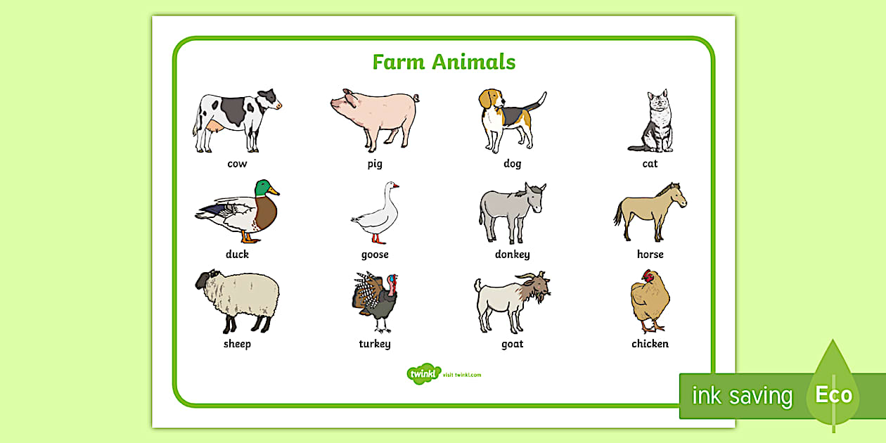 Farm Animals Vocabulary Mat - ESL Farm Vocabulary - Twinkl