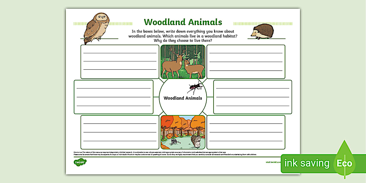 Woodland Animals Mind Map, Woodland, Science - Twinkl