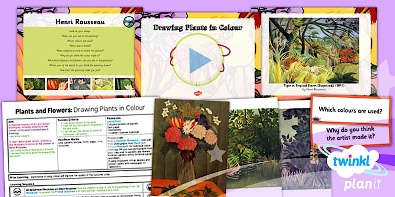 Drawing Plants and Flowers in Colour - Flowers Art - Twinkl