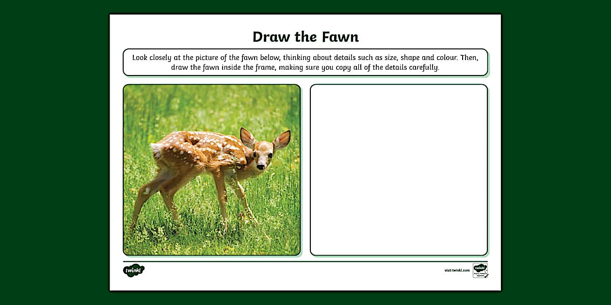 Draw the Fawn Worksheet (Teacher-Made) - Twinkl