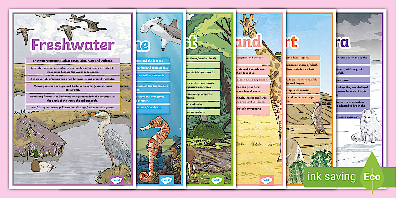 Ecosystem Posters (teacher made) - Twinkl