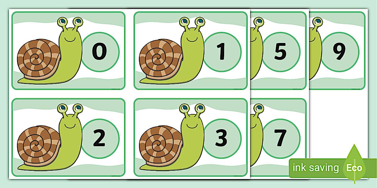 👉 Snails Number Cards (0-10) (teacher made) - Twinkl