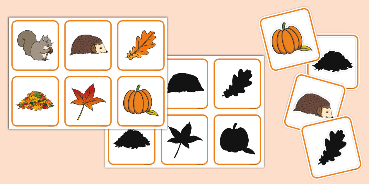 Autumn Illustration Shadow Matching Cards - Twinkl