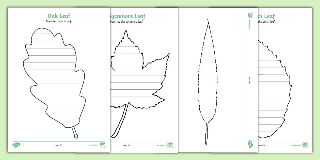 Leaf Themed Review Worksheet / Worksheet Pack - Twinkl