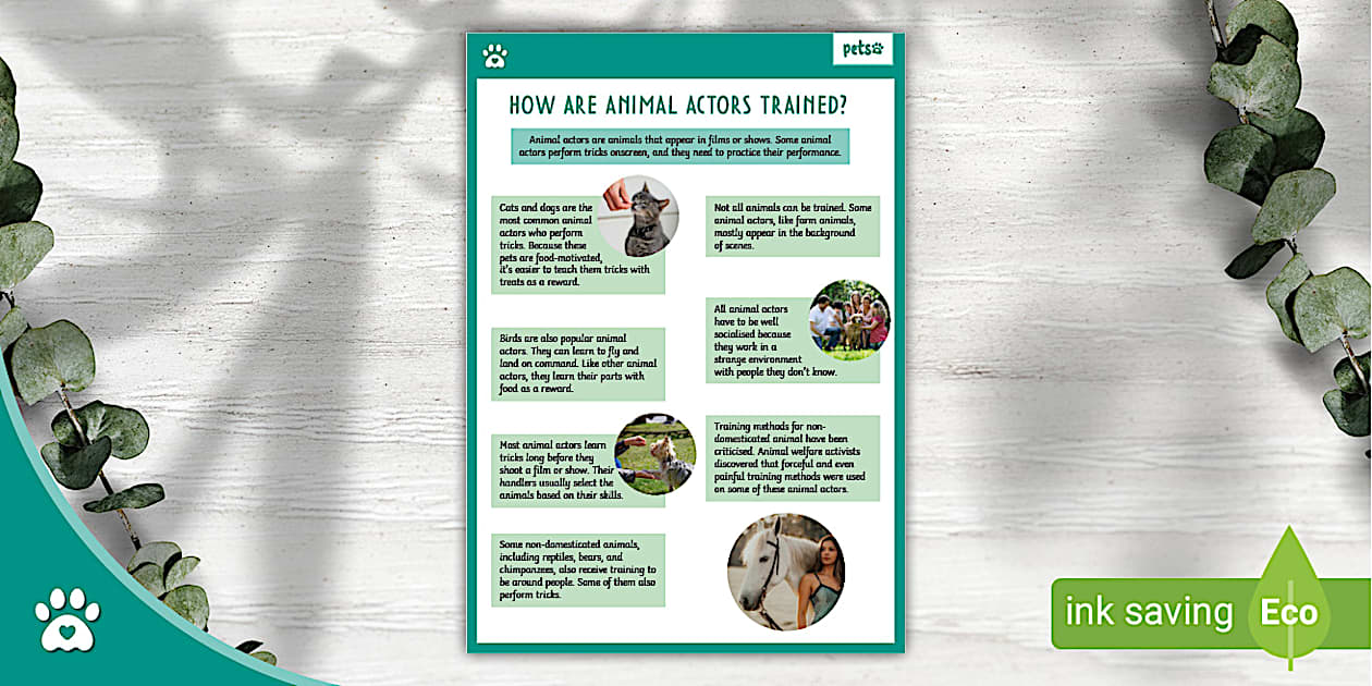 Animal Actor Training Fact Sheet - Animals in Film - Pets