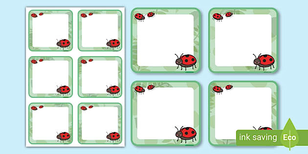 👉 Ladybird themed Square Peg Labels (Teacher-Made)
