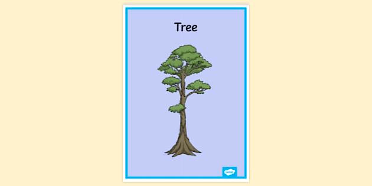Printable Tree Poster for Classroom Displays | KS1 Resources