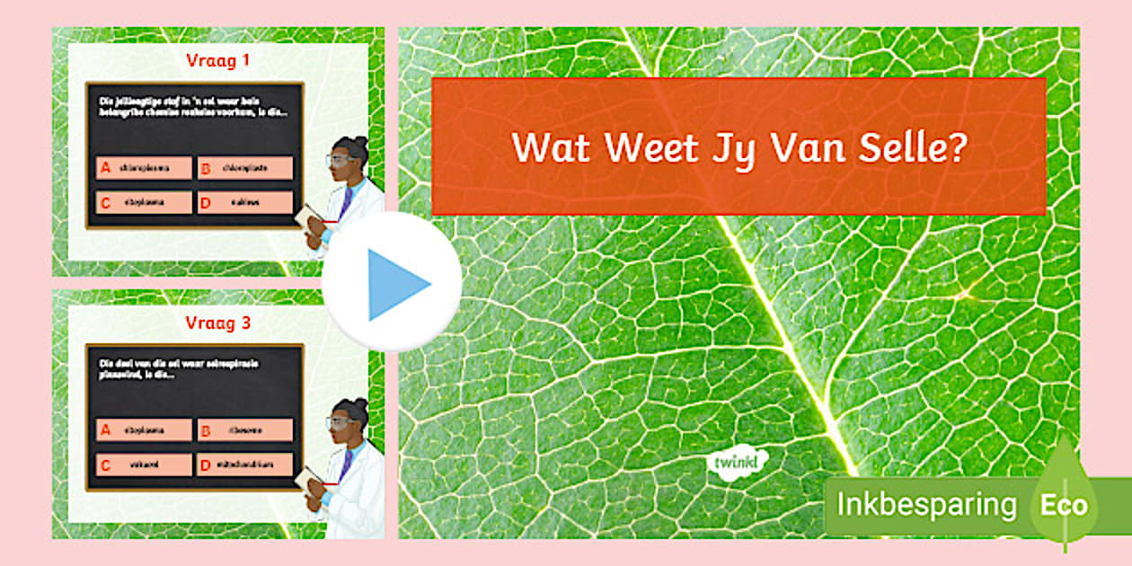 Selle Vasvrae PowerPoint (teacher made) - Twinkl