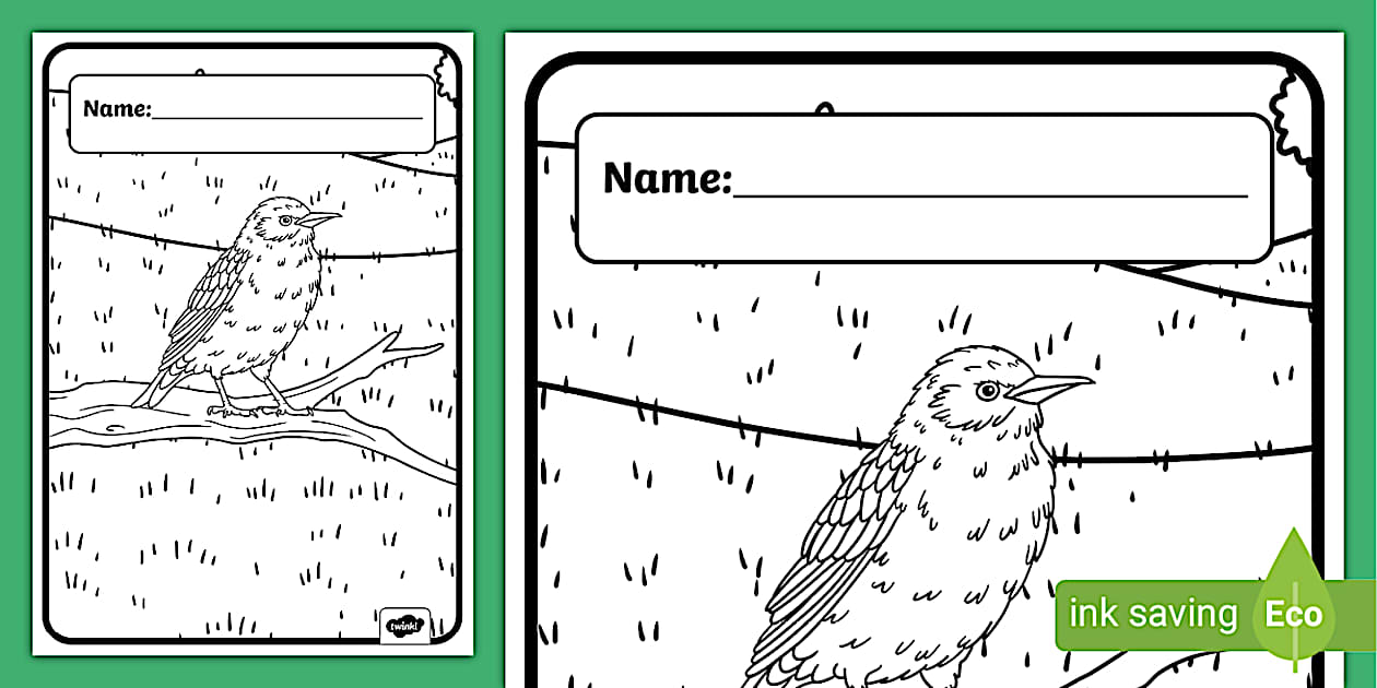 Starling Bird Colouring Book Cover (Teacher-Made) - Twinkl