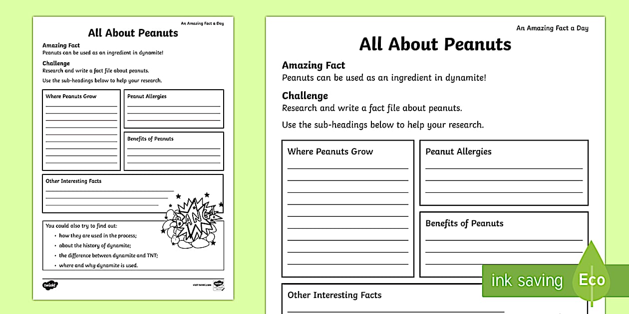 Editable Peanut Fact File Worksheets (teacher made) - Twinkl