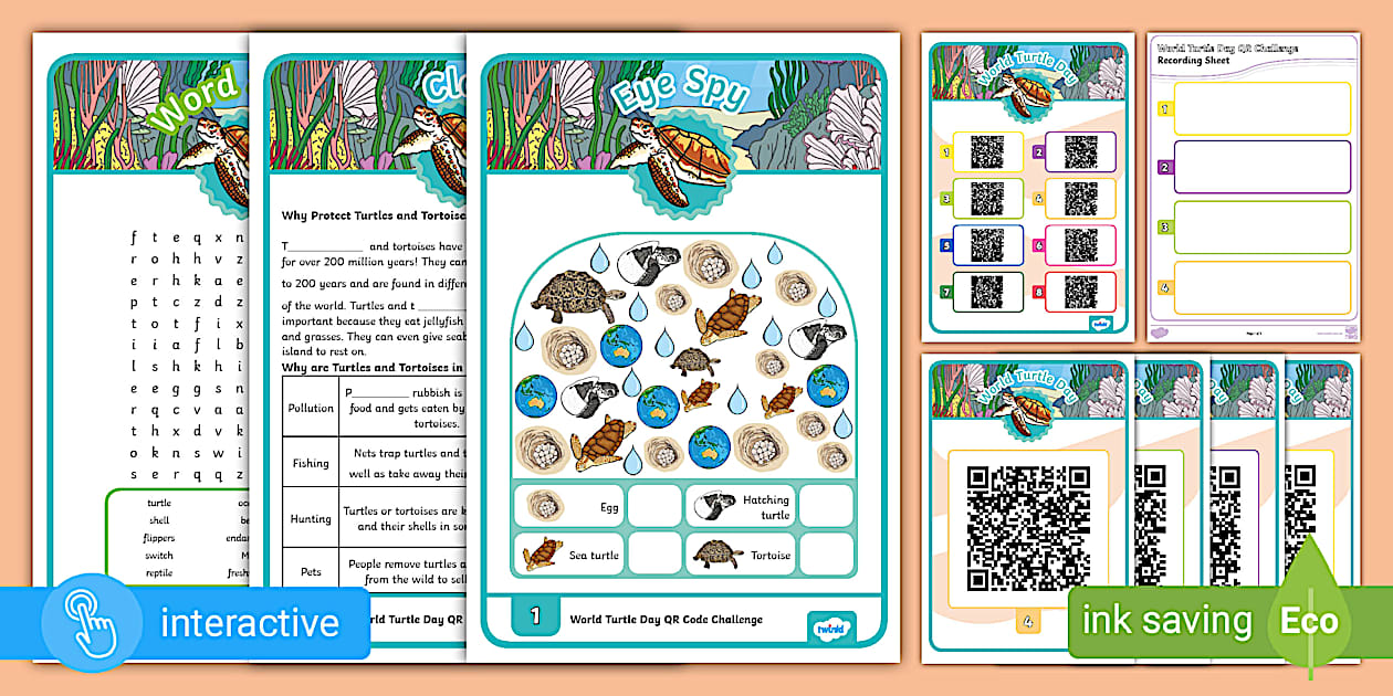World Turtle Day QR Code Challenge (teacher made) - Twinkl