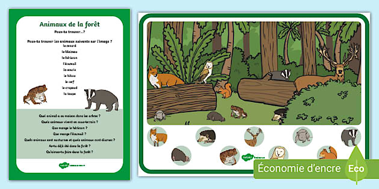 Jeu : Trouver les animaux de la forêt et questions - Twinkl