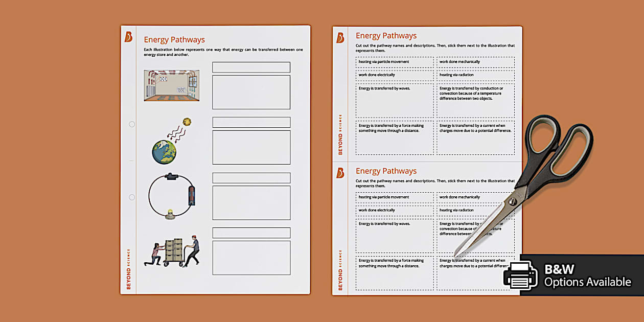 Energy Pathways Cut and Stick (Teacher-Made) - Twinkl