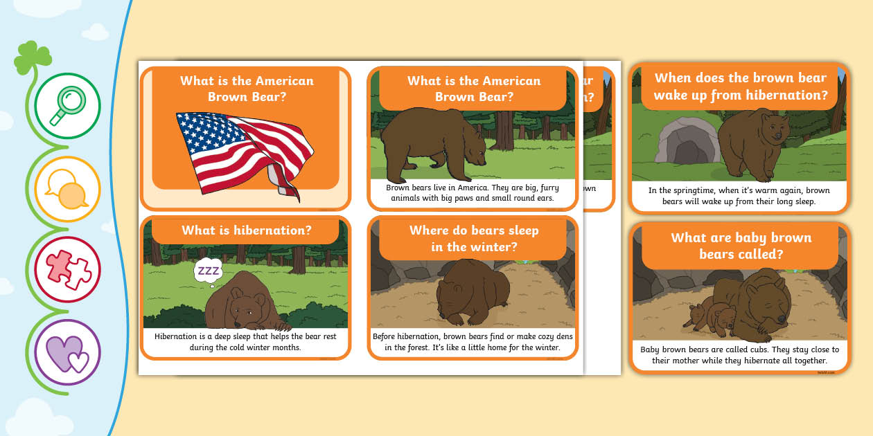Brown Bear Hibernation Flashcards (teacher made) - Twinkl